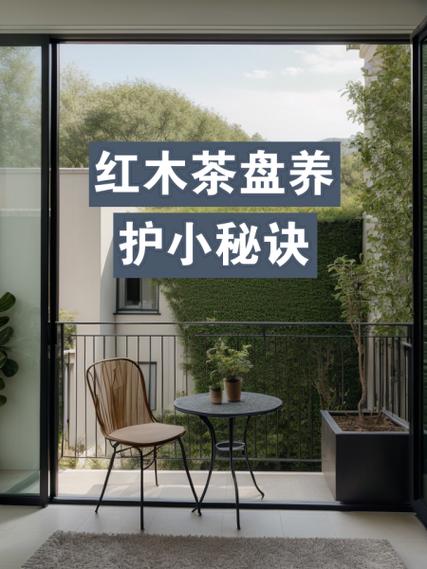 红木原木都要用药水泡吗图标