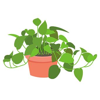 绿萝插画截图