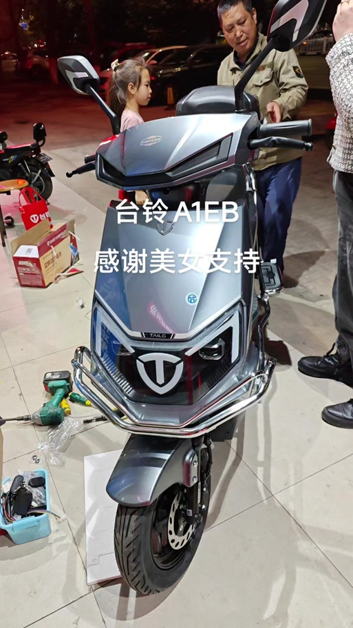 台铃新国标电动自行车图标