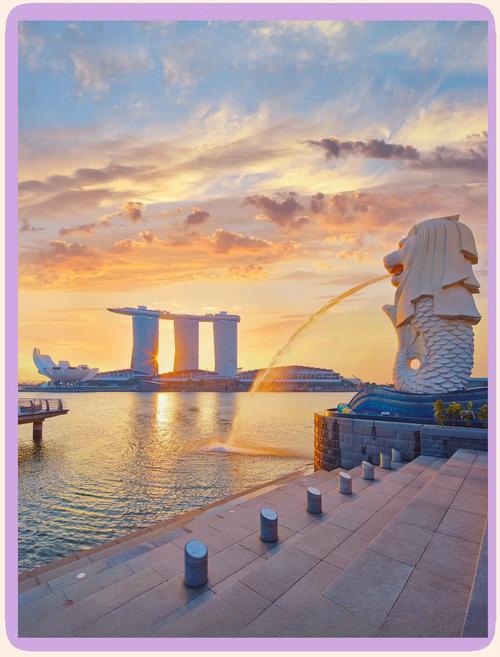 iphone新加坡版好不好图标