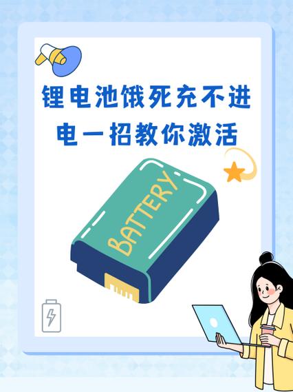 电瓶饿死拿去快充截图