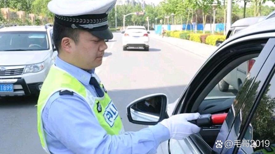 驾驶证查询平台图标