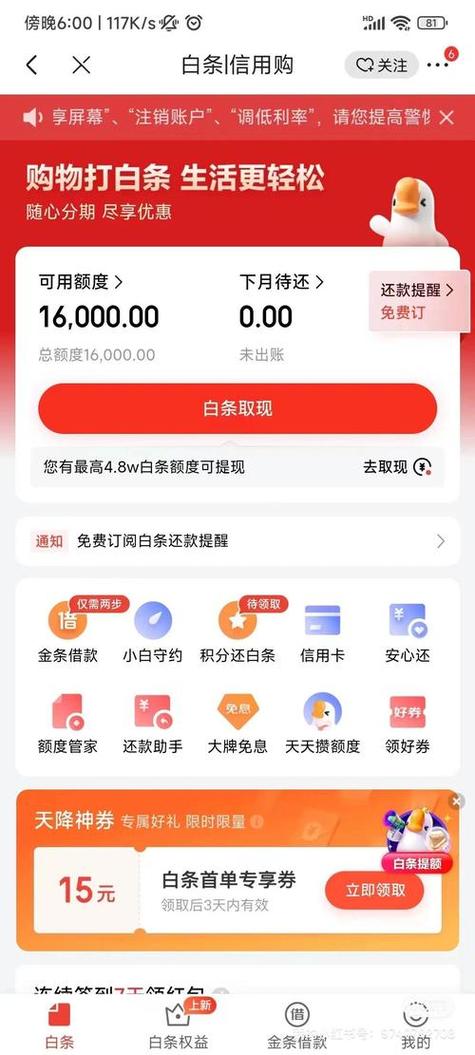 京东白条限额在哪里看图标