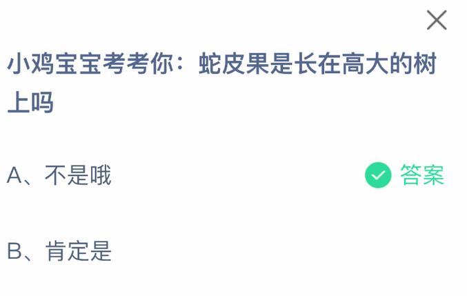 支付宝小鸡答题答案图标