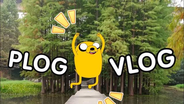 plog与vlog