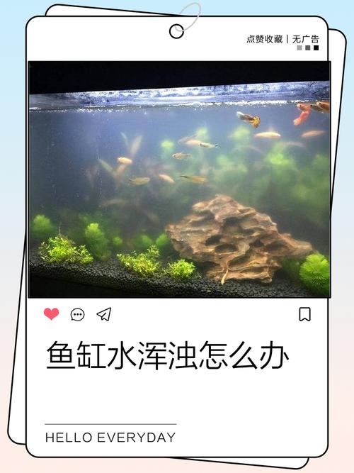 鱼缸水浑是怎么回事图标
