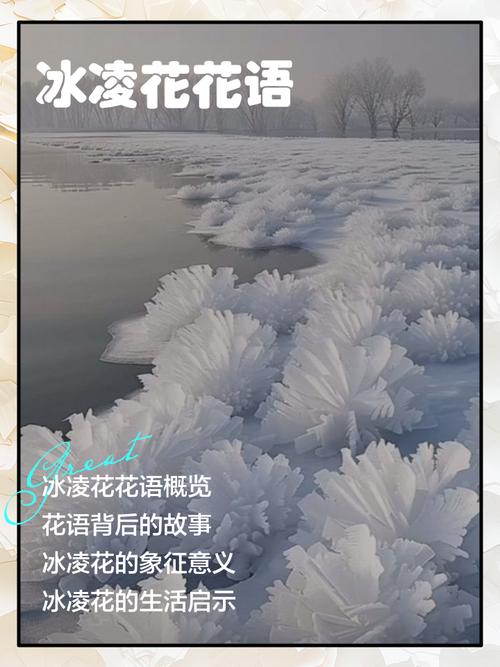 冰凌蔷薇微信名寓意图标