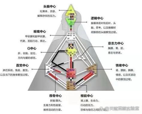 manwa.siz的优势分析图标