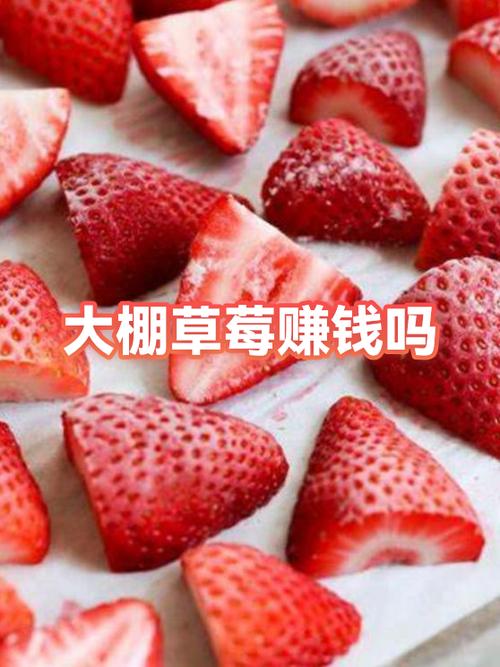 草莓聊天交友可以赚钱吗图标
