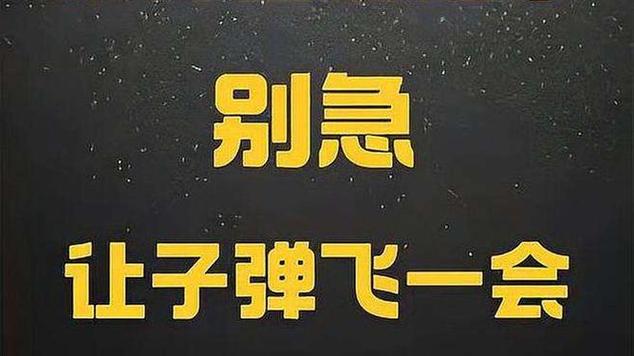 让子弹多飞一会什么意思截图