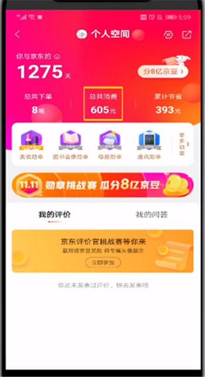 怎么查在京东一共花了多少钱图标
