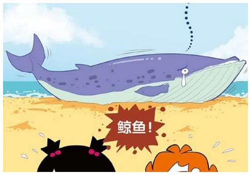 拯救搁浅鲸鱼漫画截图