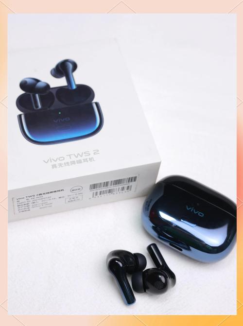 vivotws2已拒绝配对截图