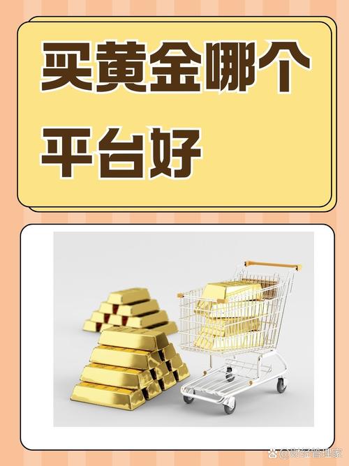 小金矿赚钱平台图标