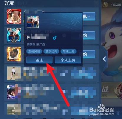 王者荣耀知道对方名字怎么加好友截图