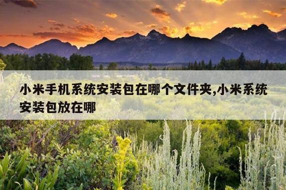 手机系统更新安装包在哪个文件夹图标