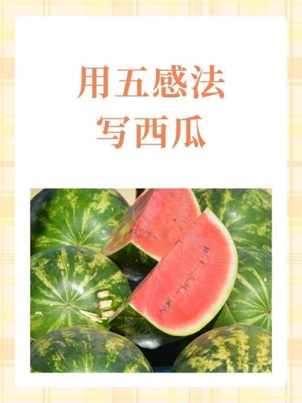 西瓜作文三年级300字图标