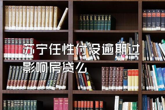 任性付影响房贷截图