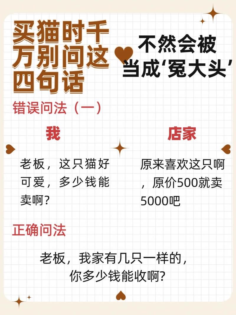 自家卖猫广告词图标