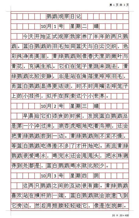 观察记录表的内容图标