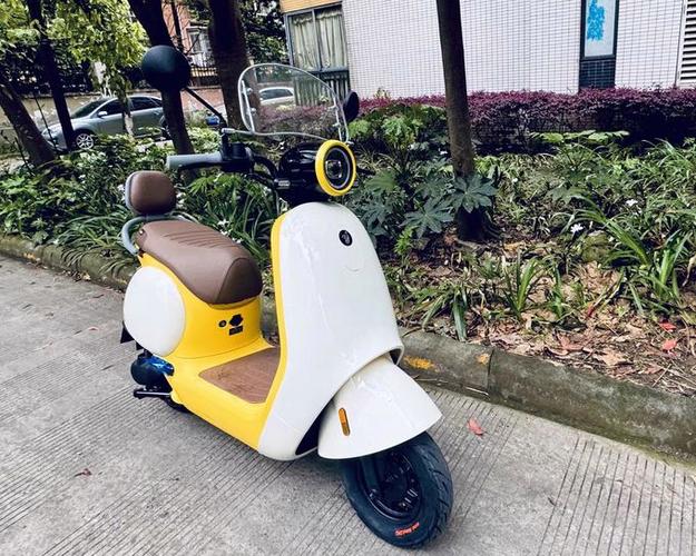 九号电动车双闪关不掉图标