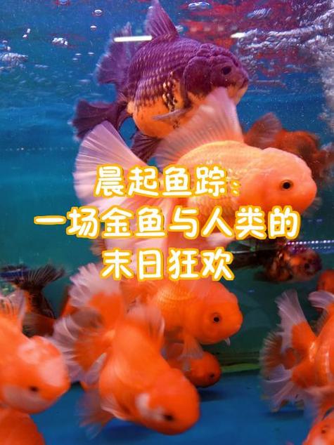 九尾鱼(上) 第1章