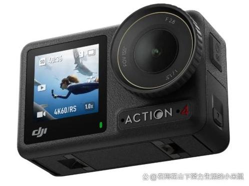 大疆action4激活查询图标