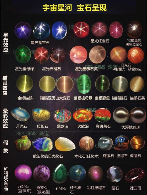 宝石星球官方介绍图标