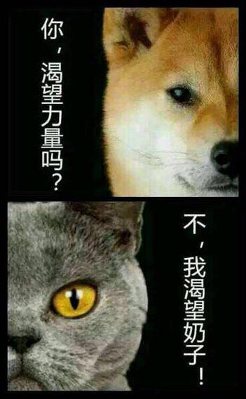 计算机系统渴望力量
