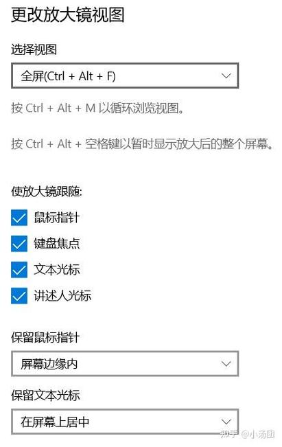 电脑上的放大镜快捷键截图
