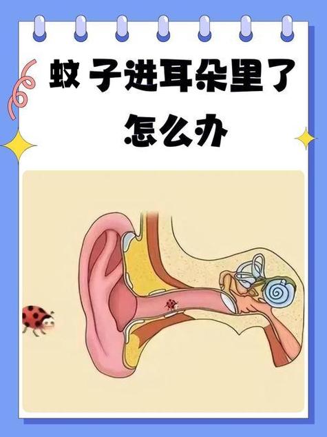 虫子进耳朵里了怎么办图标
