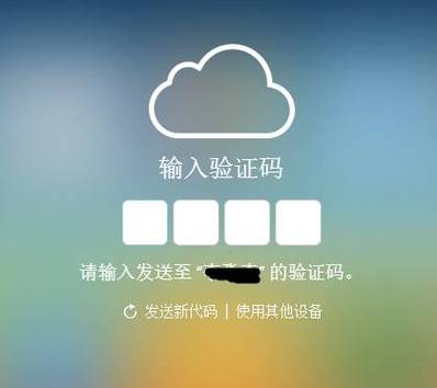 为什么拼多多支付要验证码图标