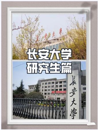 长安大学研究生教务系统入口官网图标