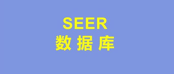 seer数据库图标