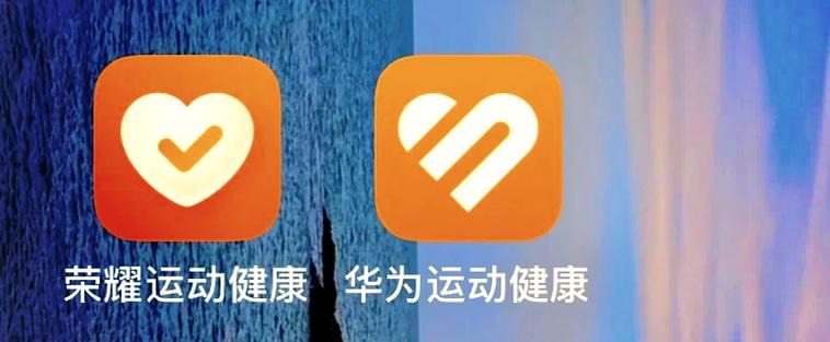 荣耀运动健康app下载安装截图