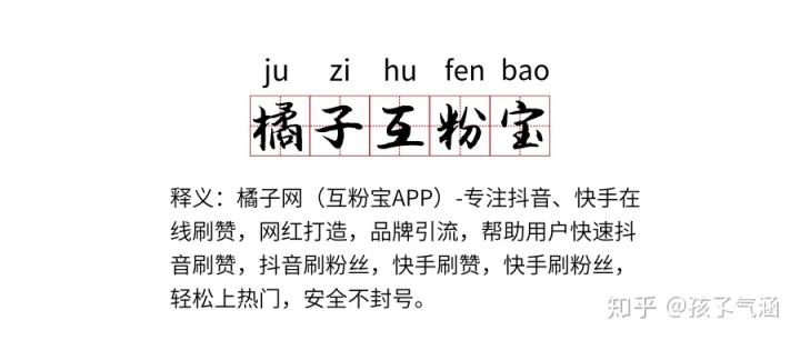 橘子助手图标
