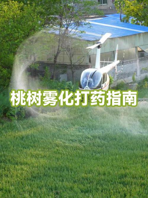 什么药不能用弥雾机打截图