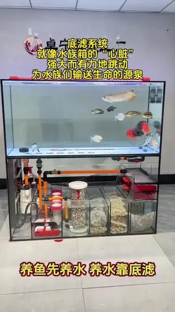 底过滤鱼缸安装图解图标