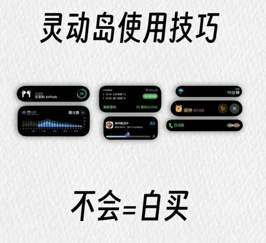 灵动岛是干什么用的图标