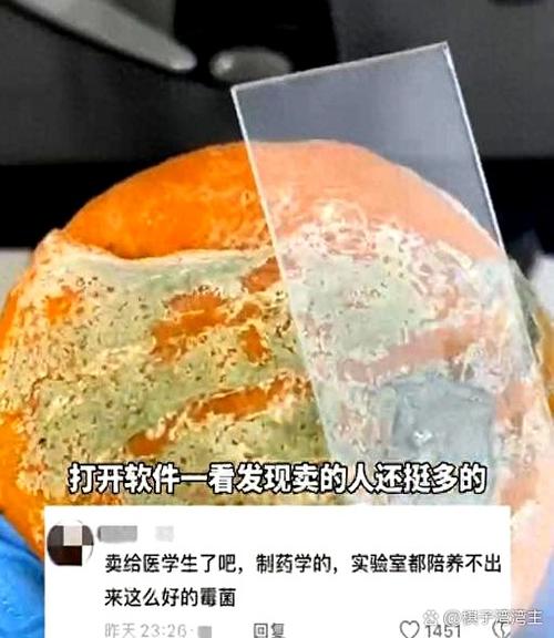 烂橘子普通会员与高级会员