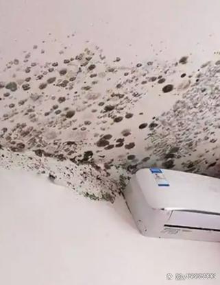 怎样让潮湿的房间变干燥截图