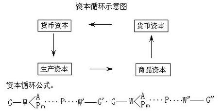 货币资本是指什么图标