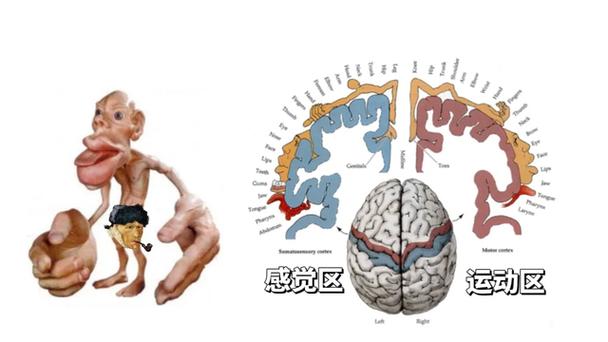 脑子聪明是天生的吗图标