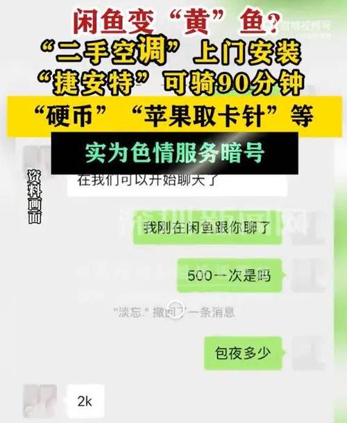 闲鱼实人认证认证不了图标