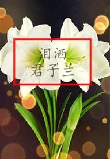 君子兰app小说图标