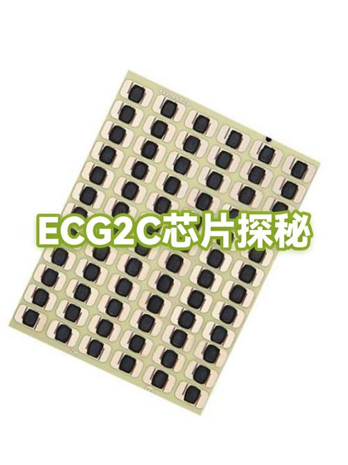 ecg芯片