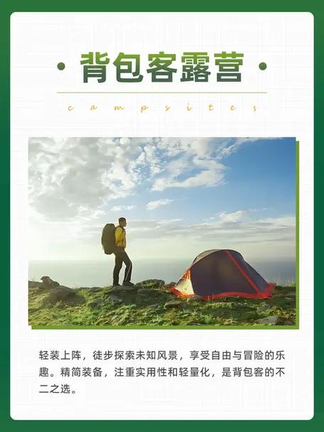 生存露营直播汉化版截图