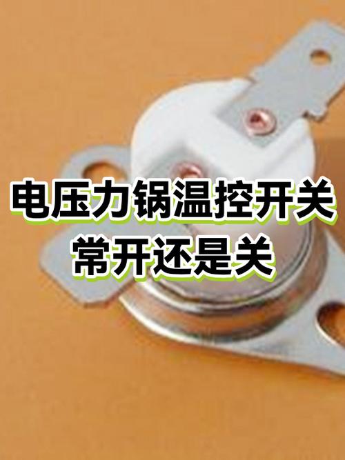 电压力锅温控器故障图标