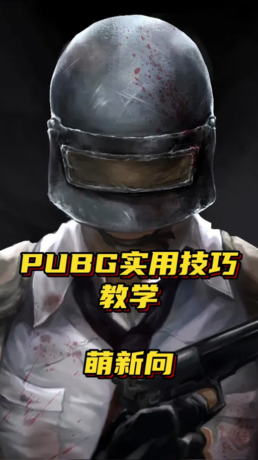 国际服国体辅助图标