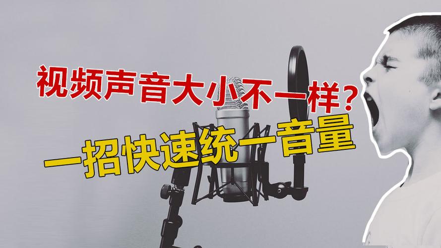 统一音量图标
